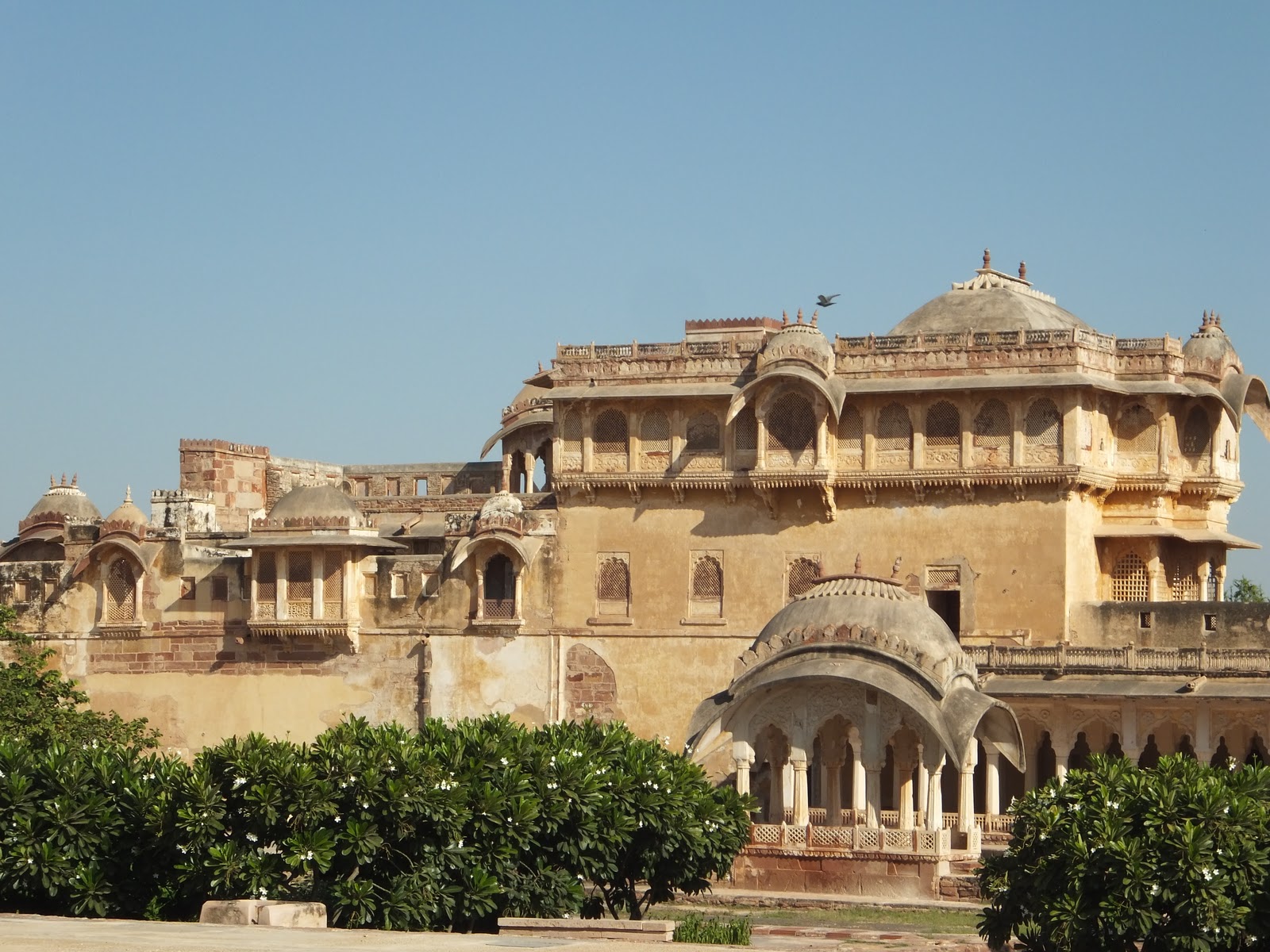 About Ideas, Innovation, TED Talks, Books, Documentaries, and Travel ...