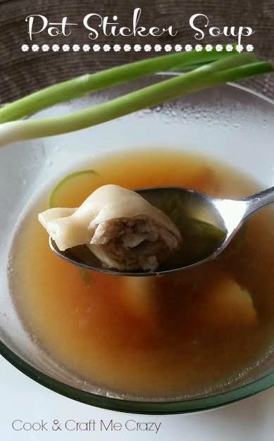 Cook and Craft Me Crazy: Pot Sticker Soup