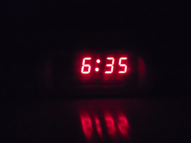 Snacking Squirrel: My Week in Pictures: Monday