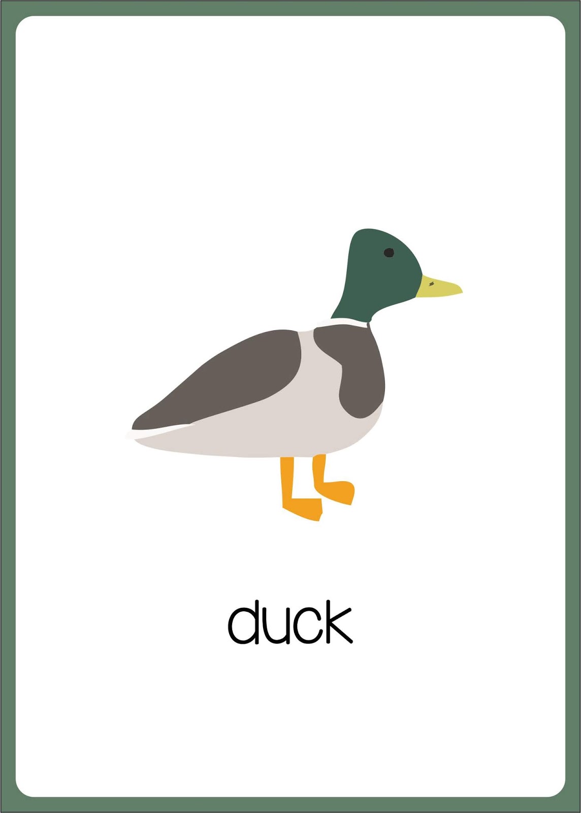 ANIMAL FLASHCARDS - BABY FIRST WORDS