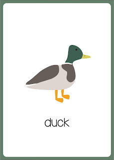 ANIMAL FLASHCARDS - BABY FIRST WORDS