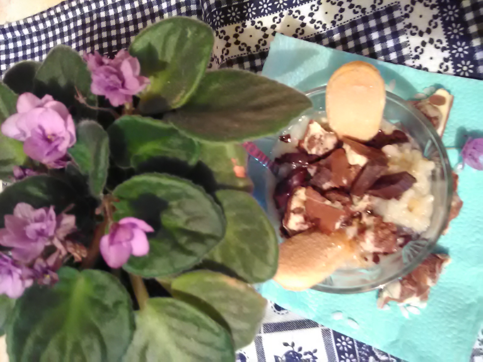 Vegetarijanski i posni jadenja i deserti.Vegetarian and Lenten cooking ...