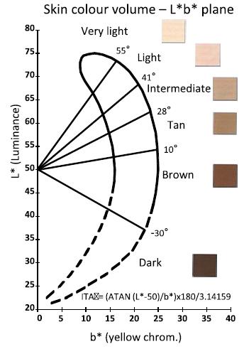 51.skin color type_ITA