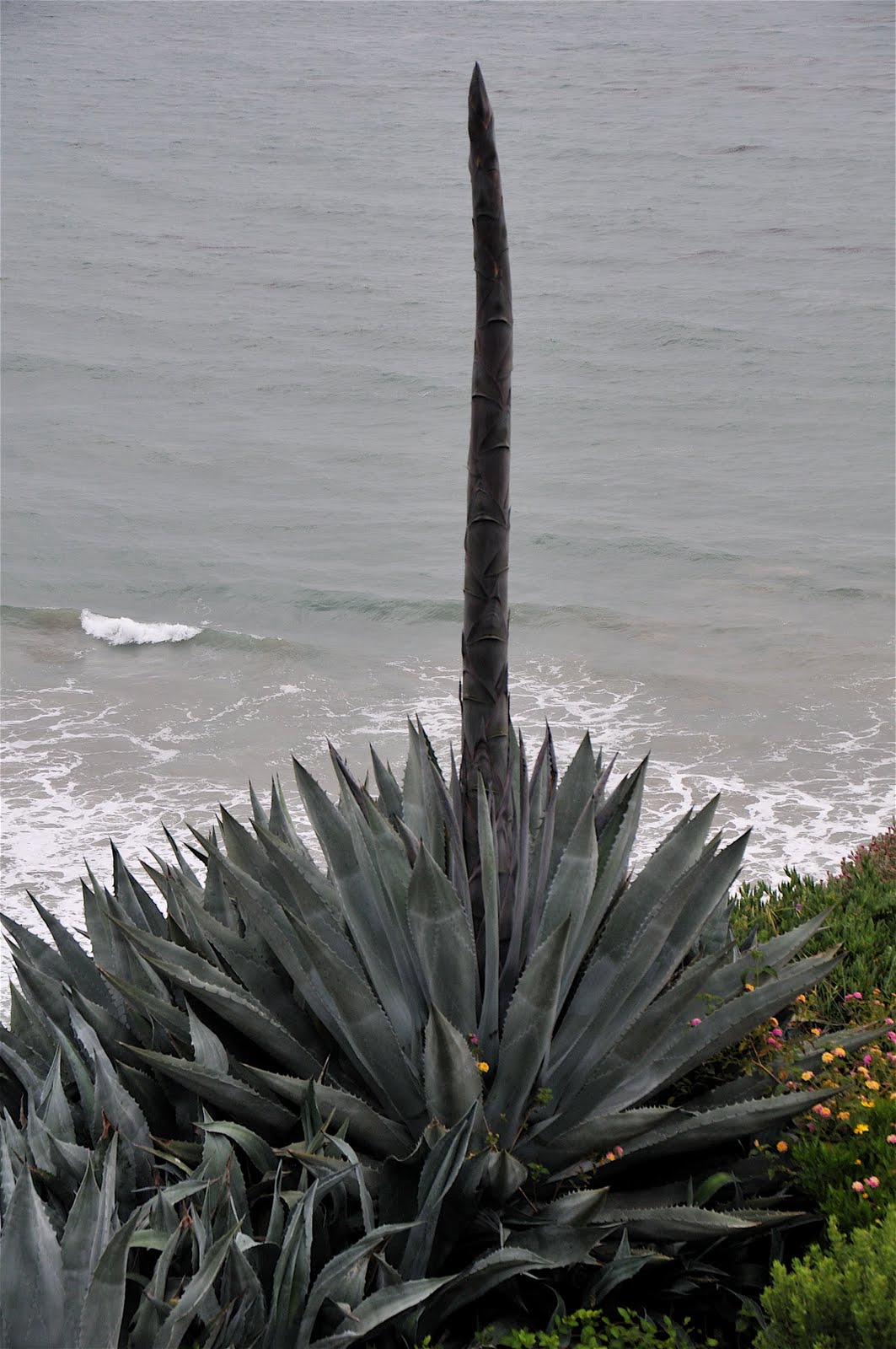 Four Angels Momma (most days): It Would Have to be During my Century ...