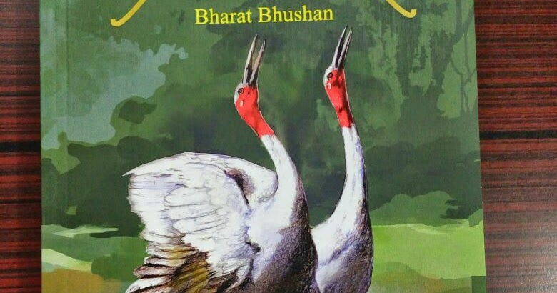 Birds of Ramayana: Release of "Birds of Ramayana" by Vishwakarma ...
