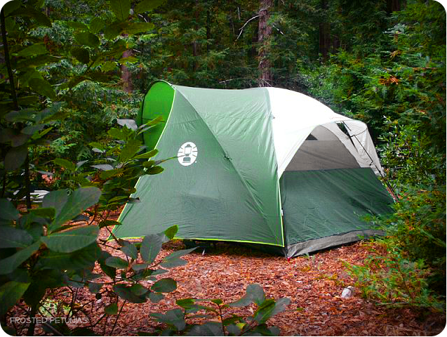 Frosted Petunias: forest magic, tents, a bit of HP and a sneak peek