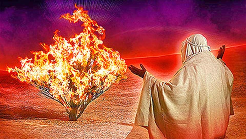 Preaching Joyfully : CALLED TO BECOME A “BURNING BUSH”