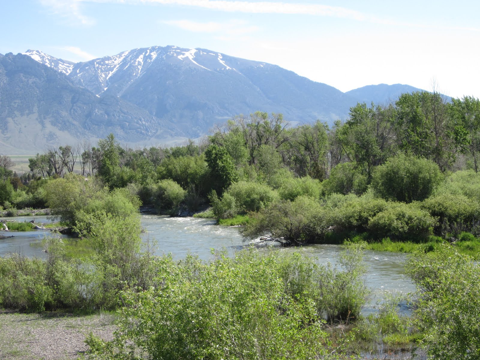 Mackay, Idaho 83251: Big Lost River downstream from Smelter Bridge June ...