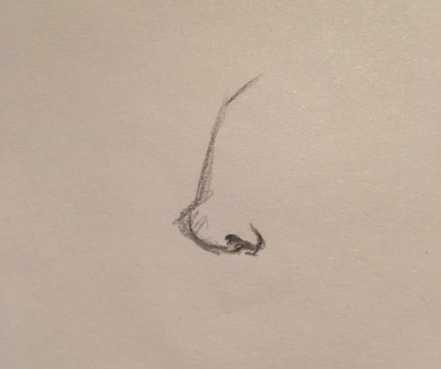 Drawn To Writing: How To Draw Noses!
