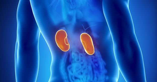 Durerea de rinichi sau renală - cum se manifesta, cauze și tratament