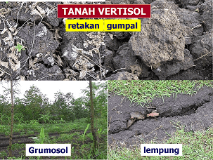 Jenis - Jenis Tanah yang Terdapat di Indonesia dan Pemanfaatnya