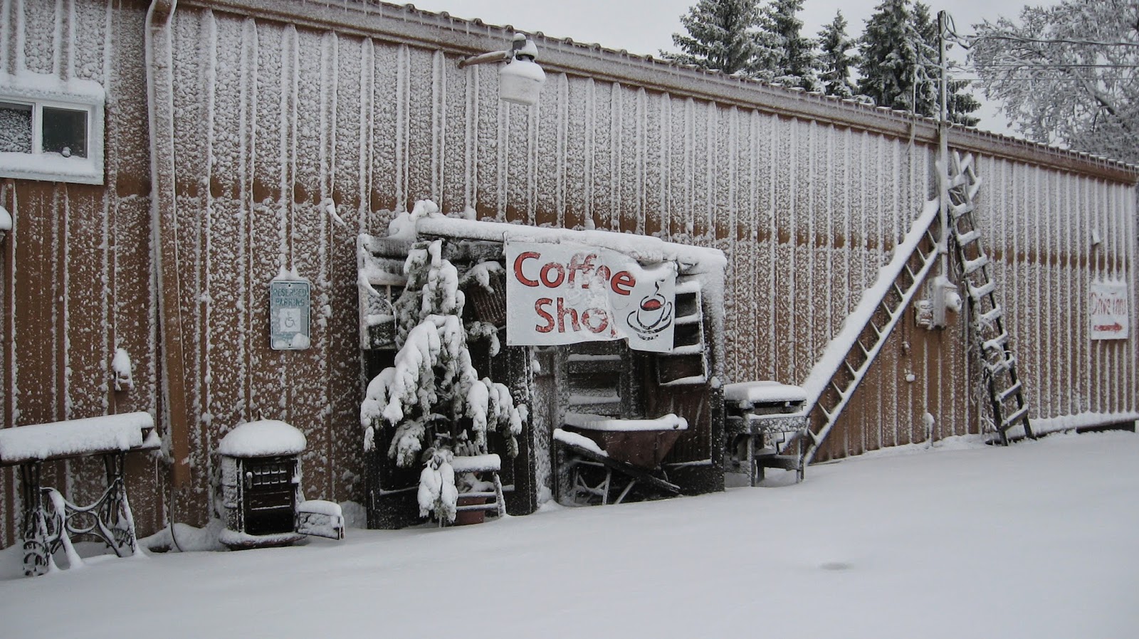 Country Freckles: Many updates at Country Freckles