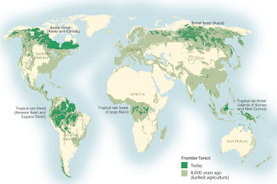 So Many Interesting Things: Forest and the Trees