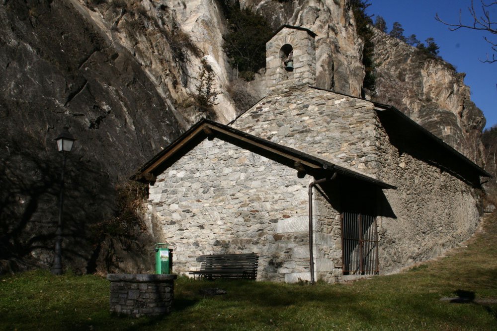 El vocabulari de la natura: GRELLA