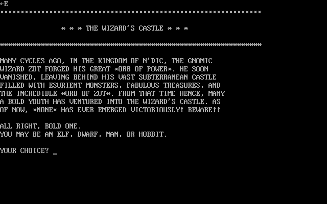 The CRPG Addict: Game 90: The Wizard's Castle (1980)