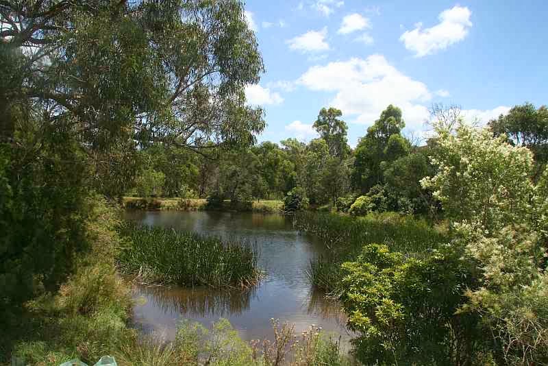 TRACKS, TRAILS AND COASTS NEAR MELBOURNE : Arthur Upton Bushland ...