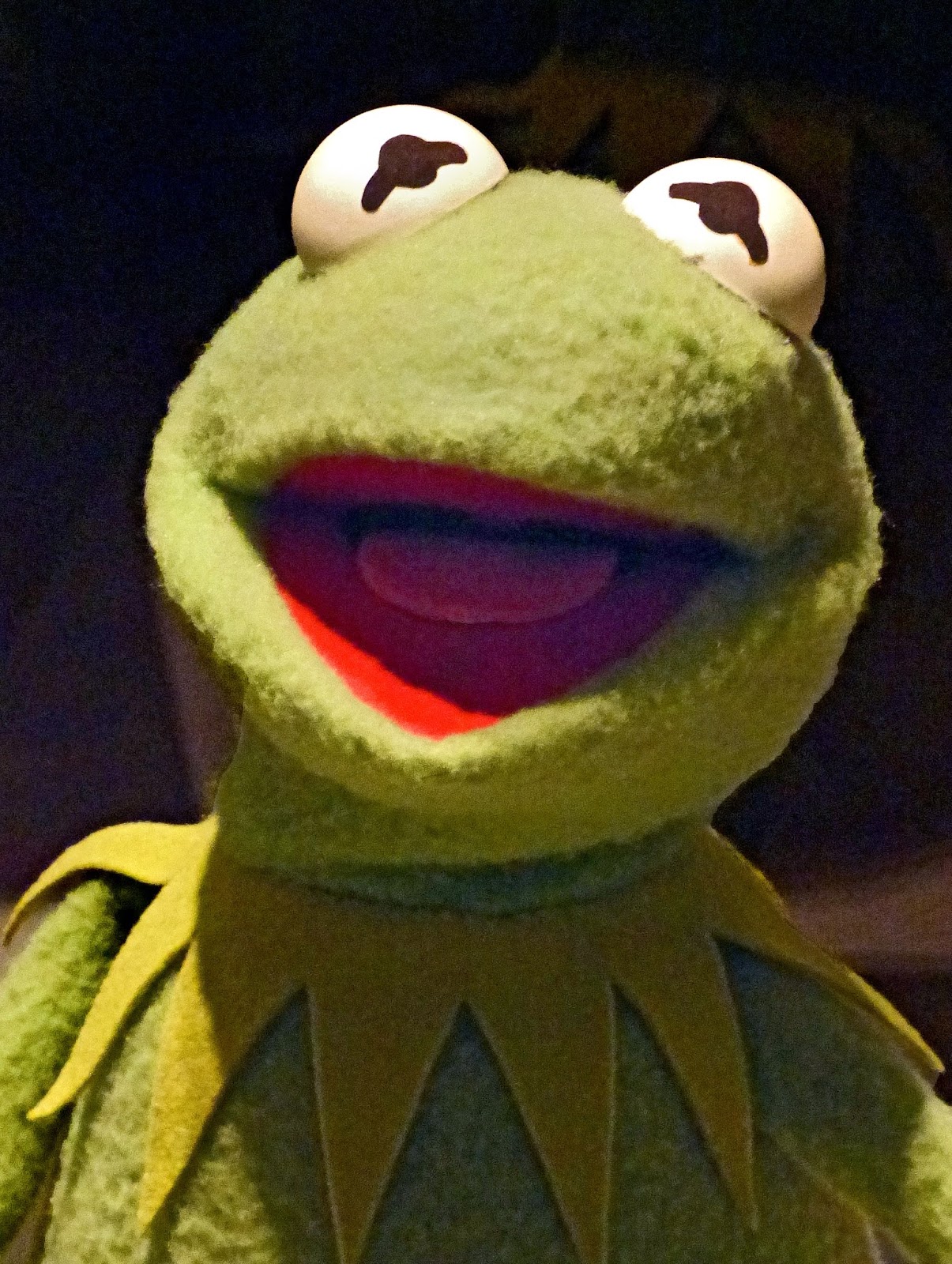 The Portrait Gallery: Kermit the Frog