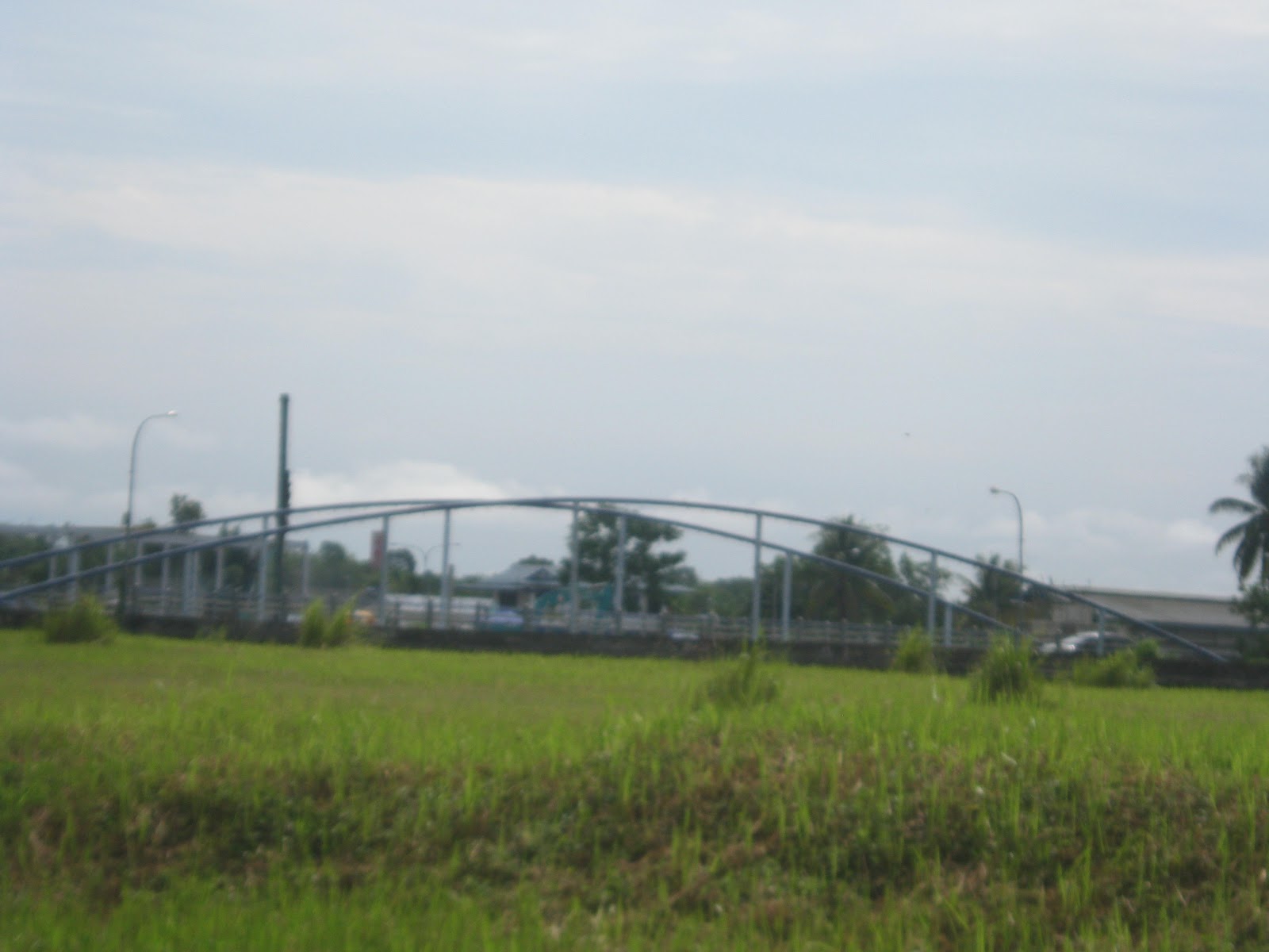 my walk with food and beautiful plants and flowers: Bridge at Lanang ...