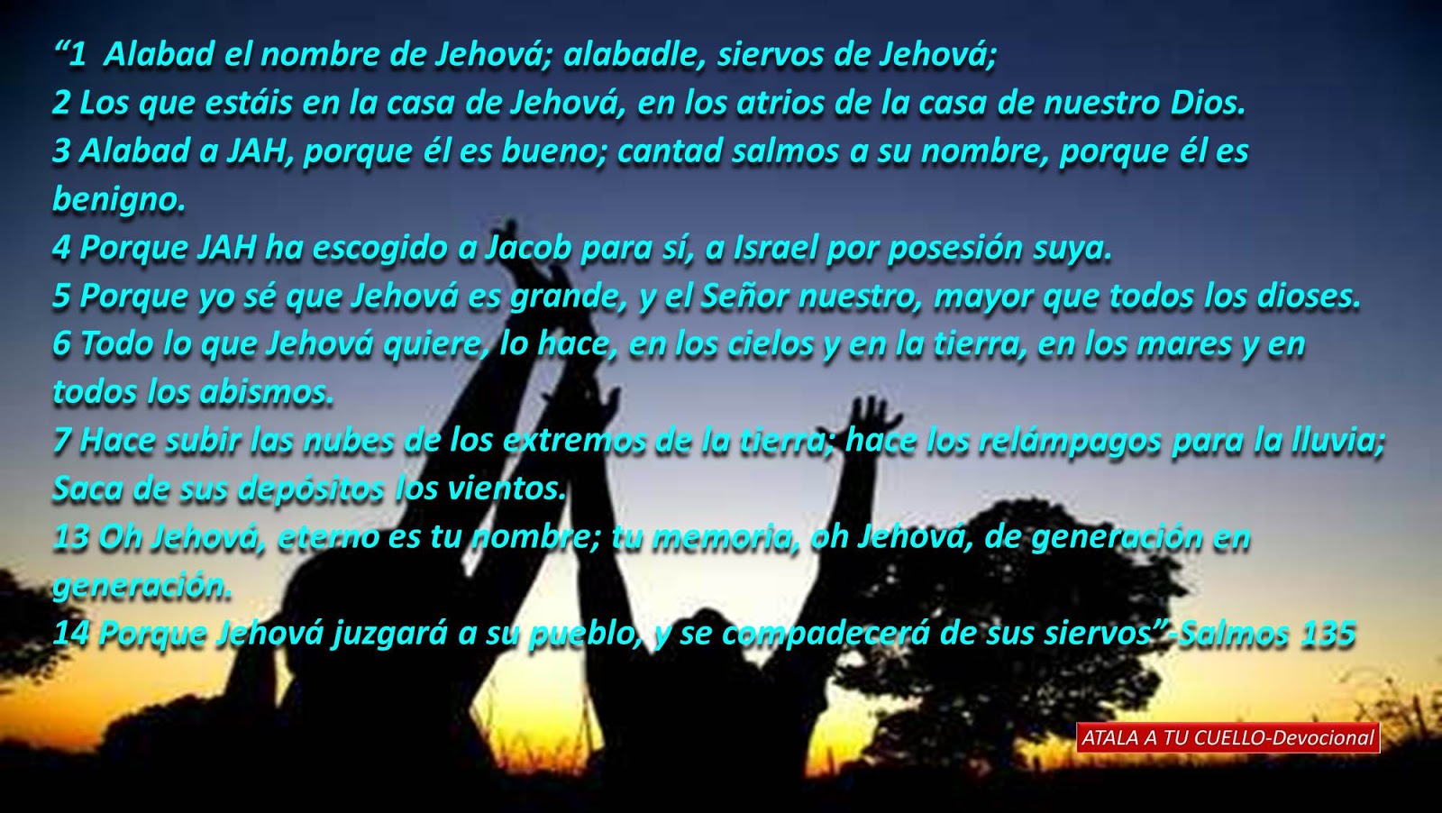 ATALA A TU CUELLO Devocional: Salmos 135