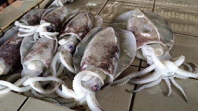 Salrini's Sweet, Sour And Spicy Notes: RESEPI 49: SAMBAL SOTONG ...