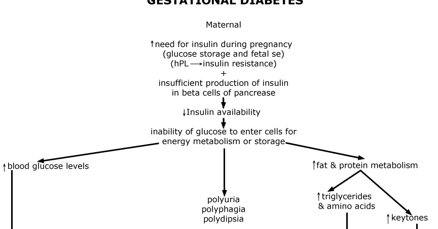 Pathophysiology: Gestational Diabetes - Pathophysiology