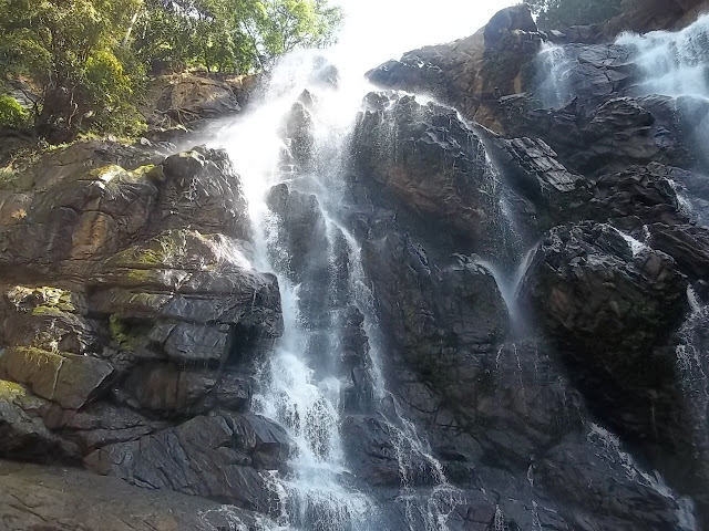 meenmutty waterfalls: the falls of meenmutty wayanad(the amazing land ...