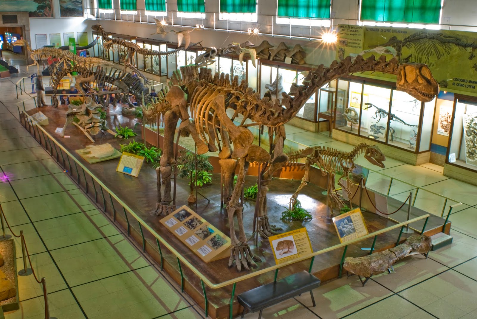 MUNDO PREHISTORICO: Museos