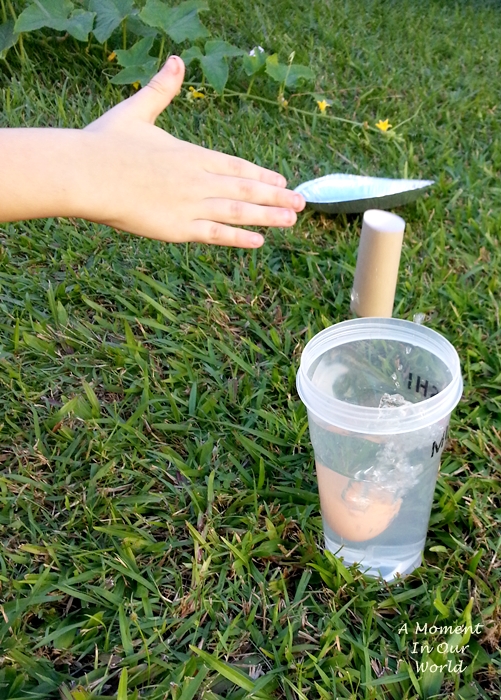 Egg Inertia (Amazing Egg) Science Experiment - Simple Living. Creative ...