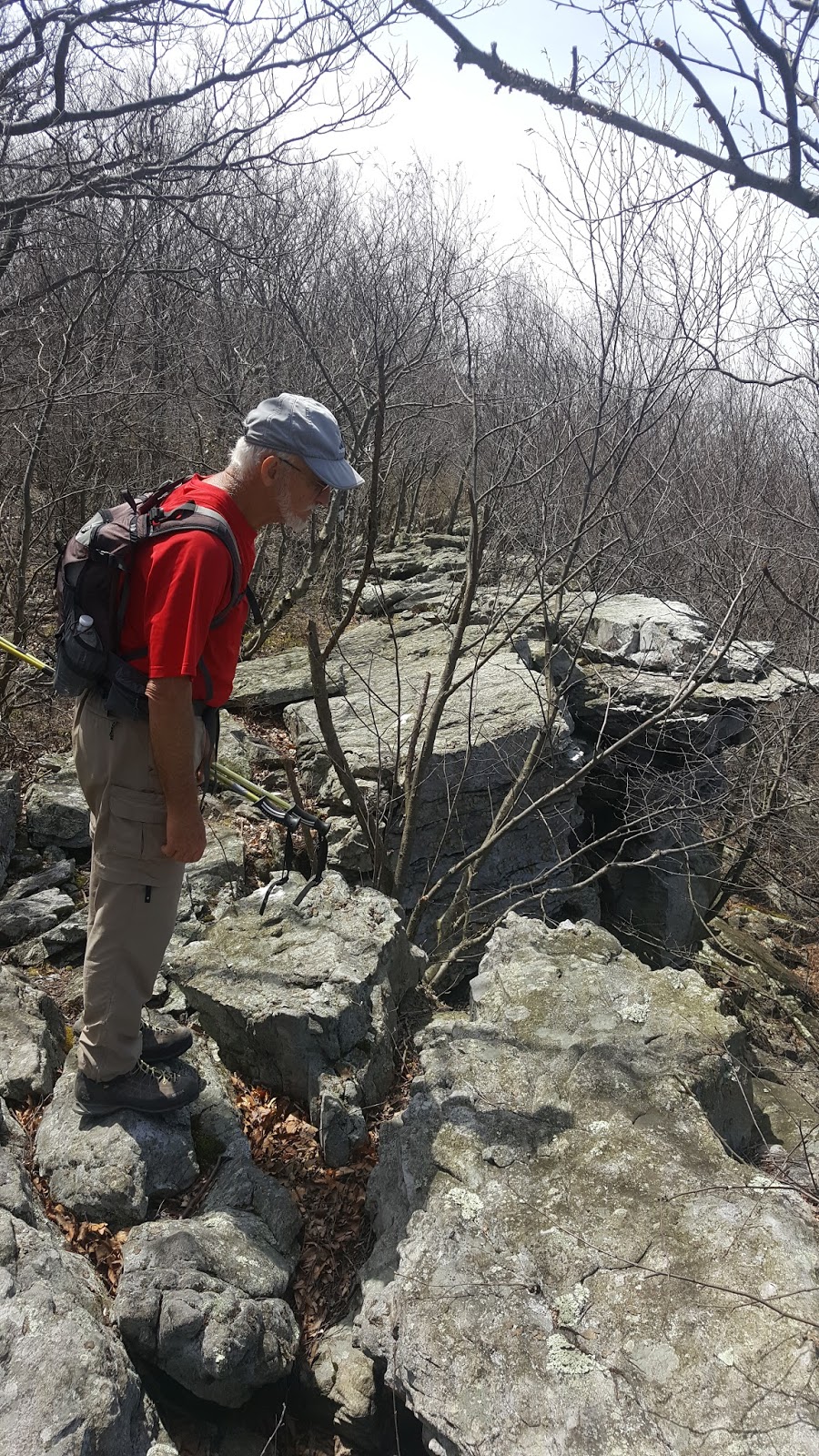 Appalachian Trail Section hiking: Delaware Water Gap to Wind Gap ...