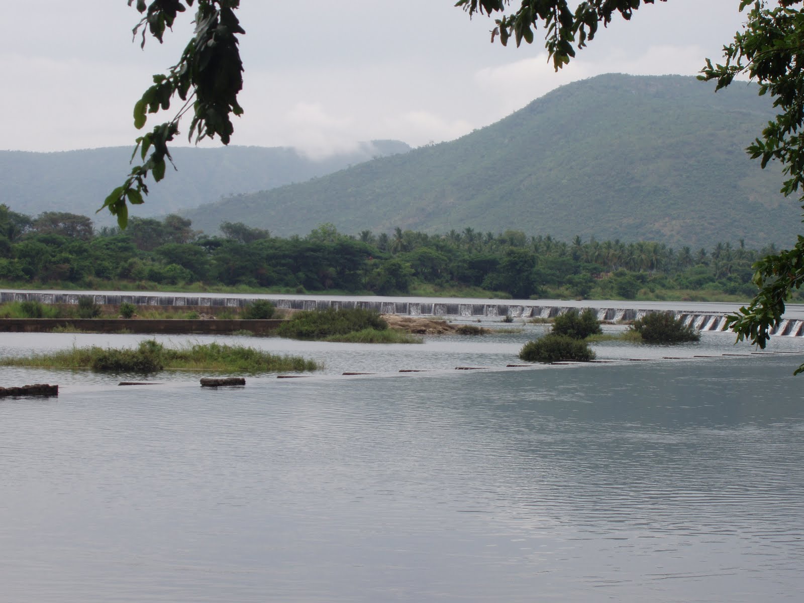 Asha's musings & ramblings: An electrifying affair with nature - Shimsha