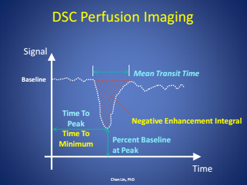Medical Imaging Technology: Perfusion MRI
