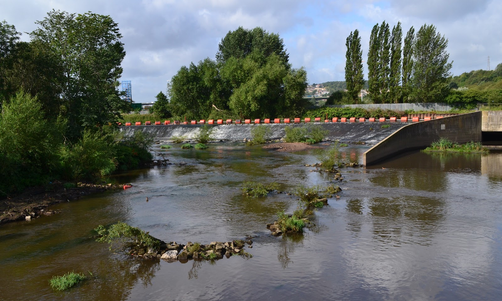 Yorkshire Pudding: Rotherham