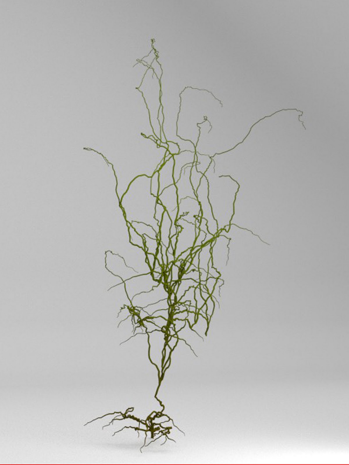 Making of : IvyGen Growing Animation