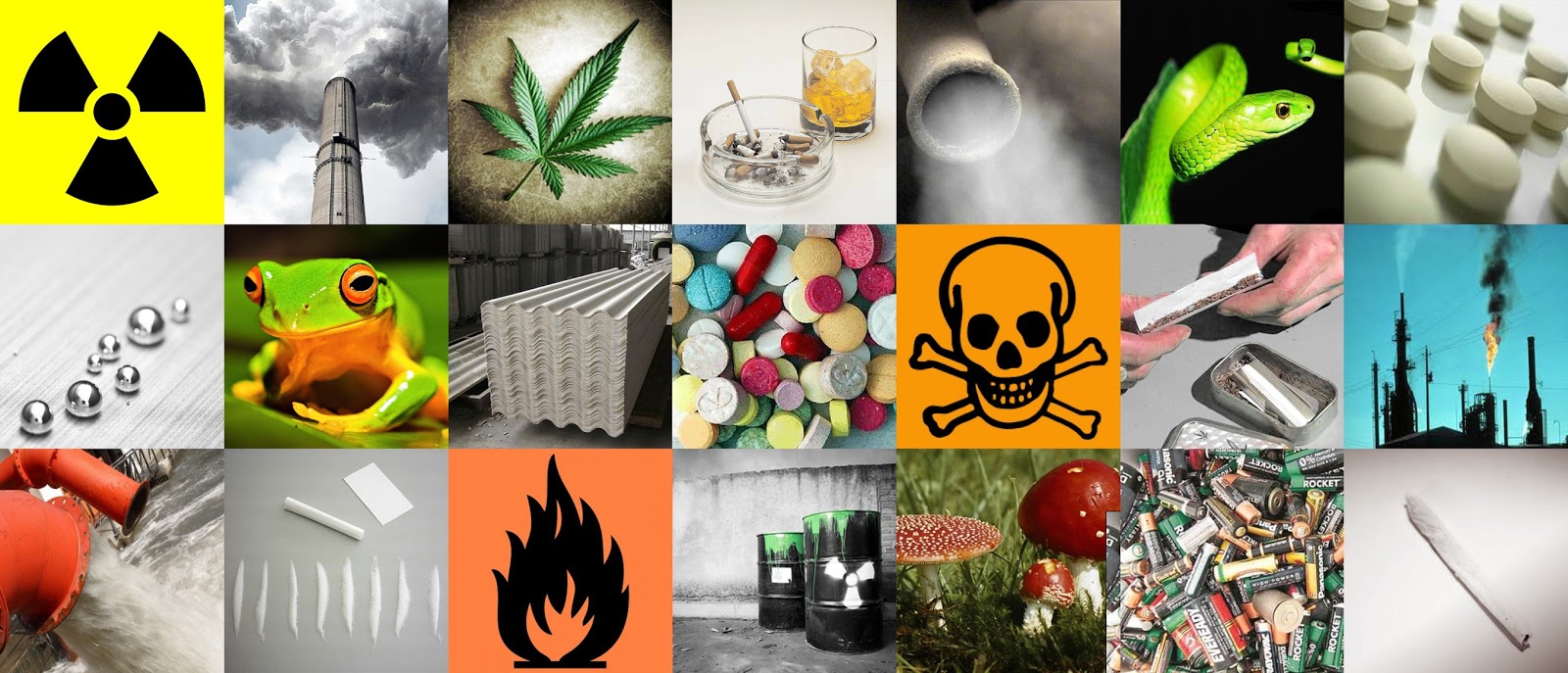 Biomedicina: Toxicologia