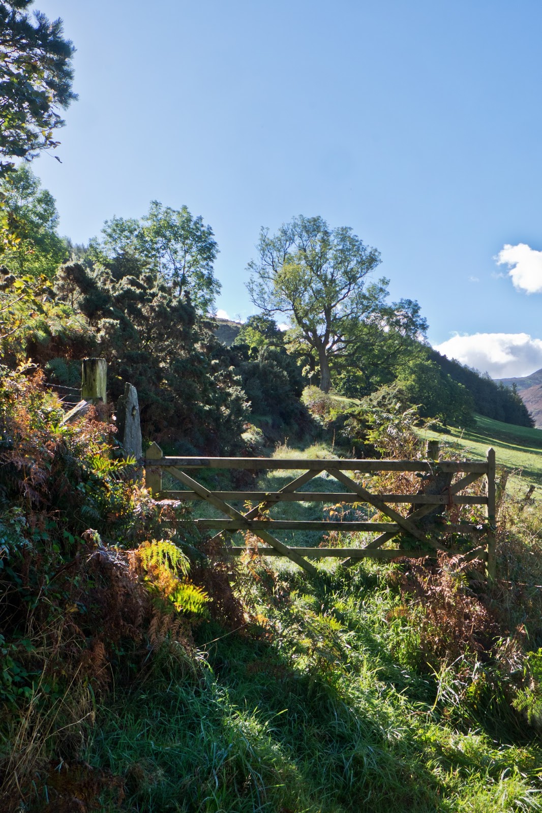 Wigtwizzle - Norman Smith's Travel Blog.: Newlands Valley and a pint in ...