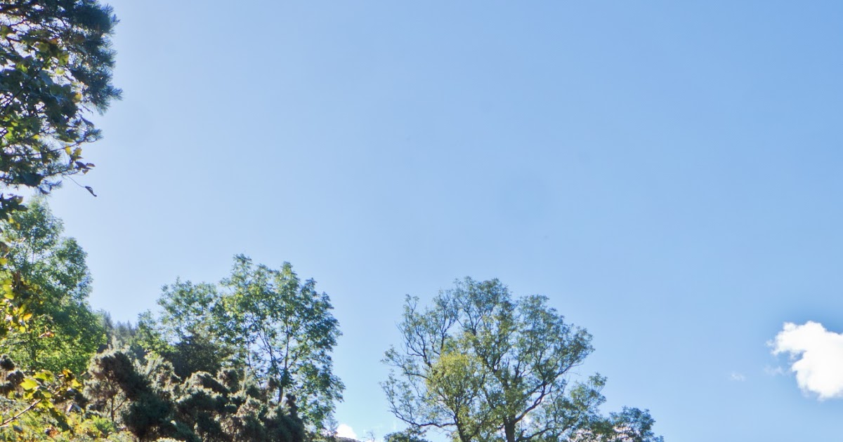 Wigtwizzle - Norman Smith's Travel Blog.: Newlands Valley and a pint in ...