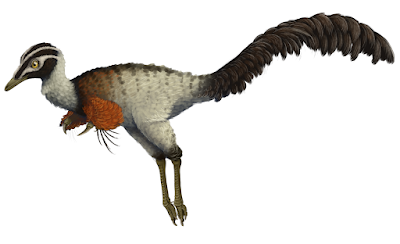 Raptormaniacs: Making Sense of Alvarezsaurid Paleobiology—I Think We're ...