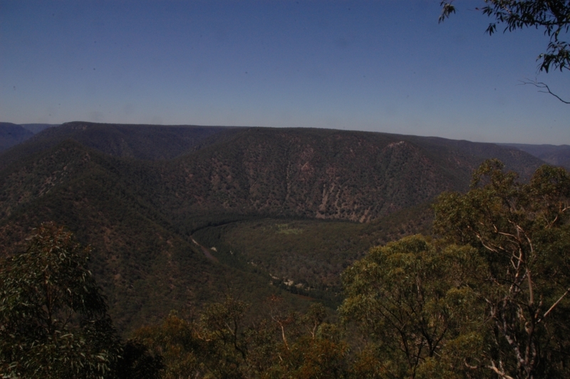 The Nature of Robertson: A big day out at Tallong