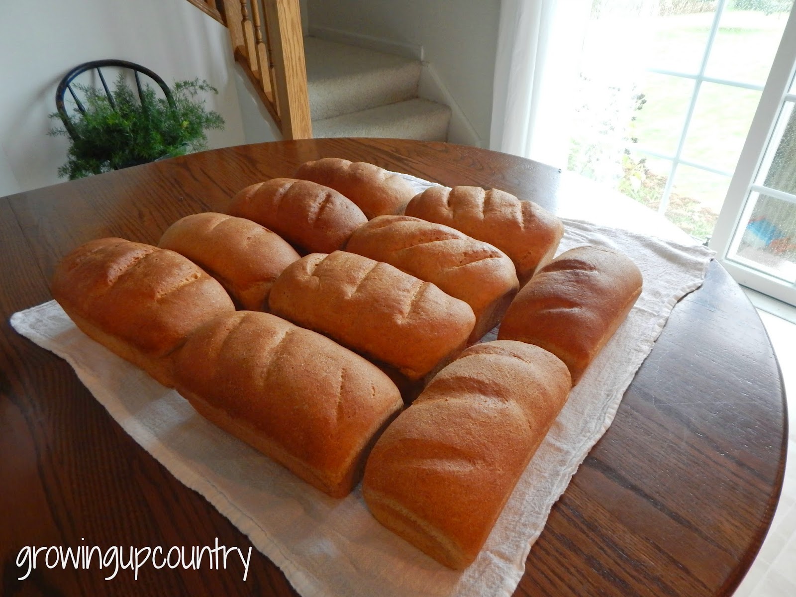 Growing up country: In my Kitchen Today: Perfect(every time)Homemade Bread