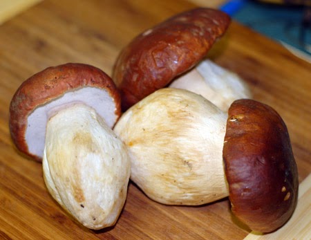 Grow Porcini Mushrooms At Home: Grow Porcini Mushrooms At Home