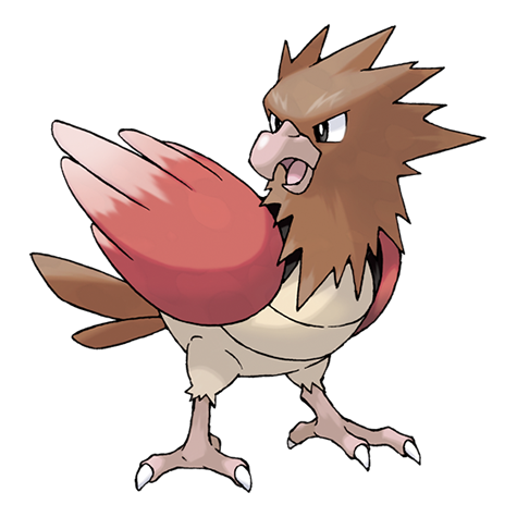 amateurnithologist: Who's That Pokebird?