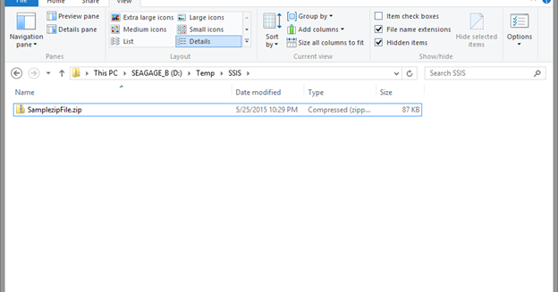 SSIS Extract Zip file using System.IO.Compression
