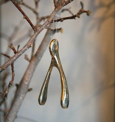 belle maison: History of the Wishbone