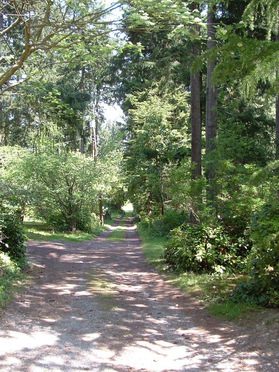 Fair Hero: A Summer Garden Wedding Reception ~ The Planning Continues