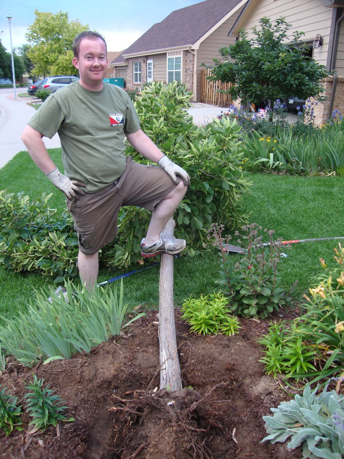 CO-Horts: Even Horties Make Mistakes: Tree Planting