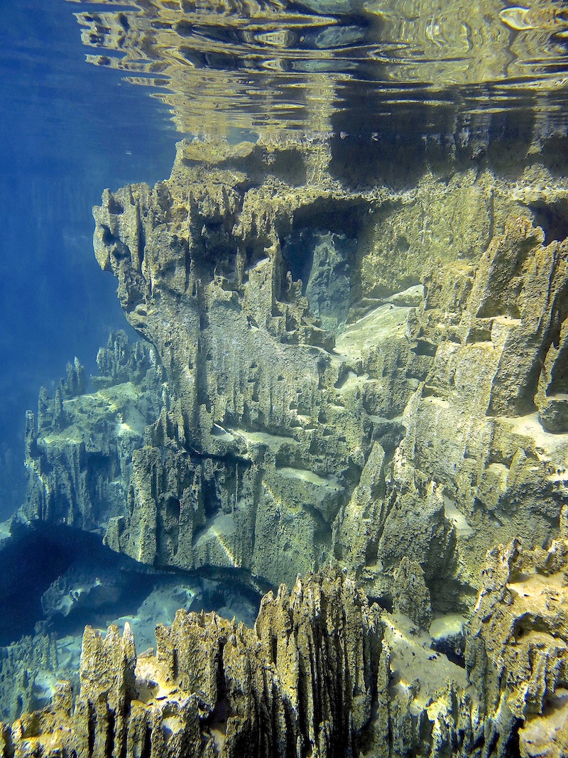 REEF DIVE: Island hopping and snorkeling day in Coron, Philippines