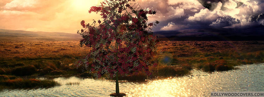 Facebook Timeline Covers: Awesome Colorful Landscape - Nature Fb Covers