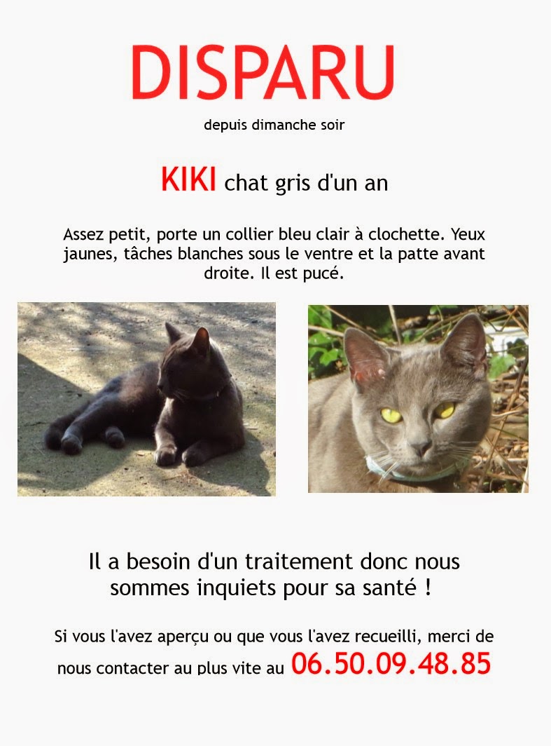 La vie de Cacahuète, cacatoès rosalbin !: Perdu Kiki