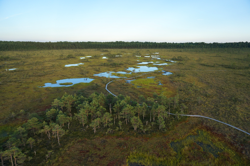 - Paranull -: Riisa raba.