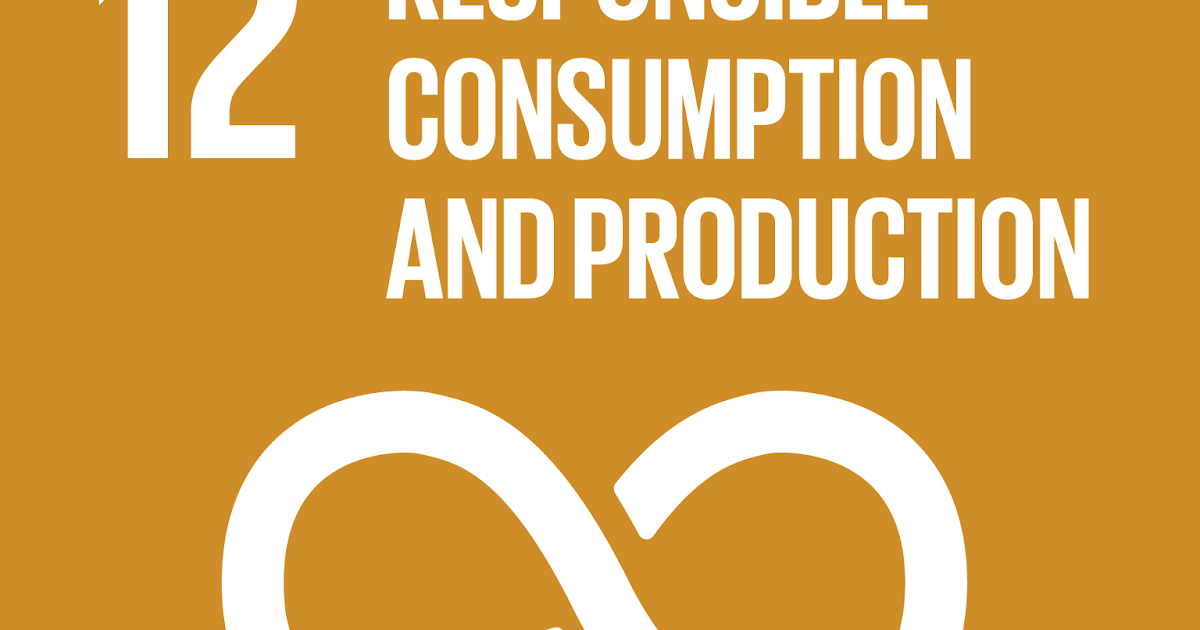Sustainable Development Goal 12 Ensure Sustainable Consumption And